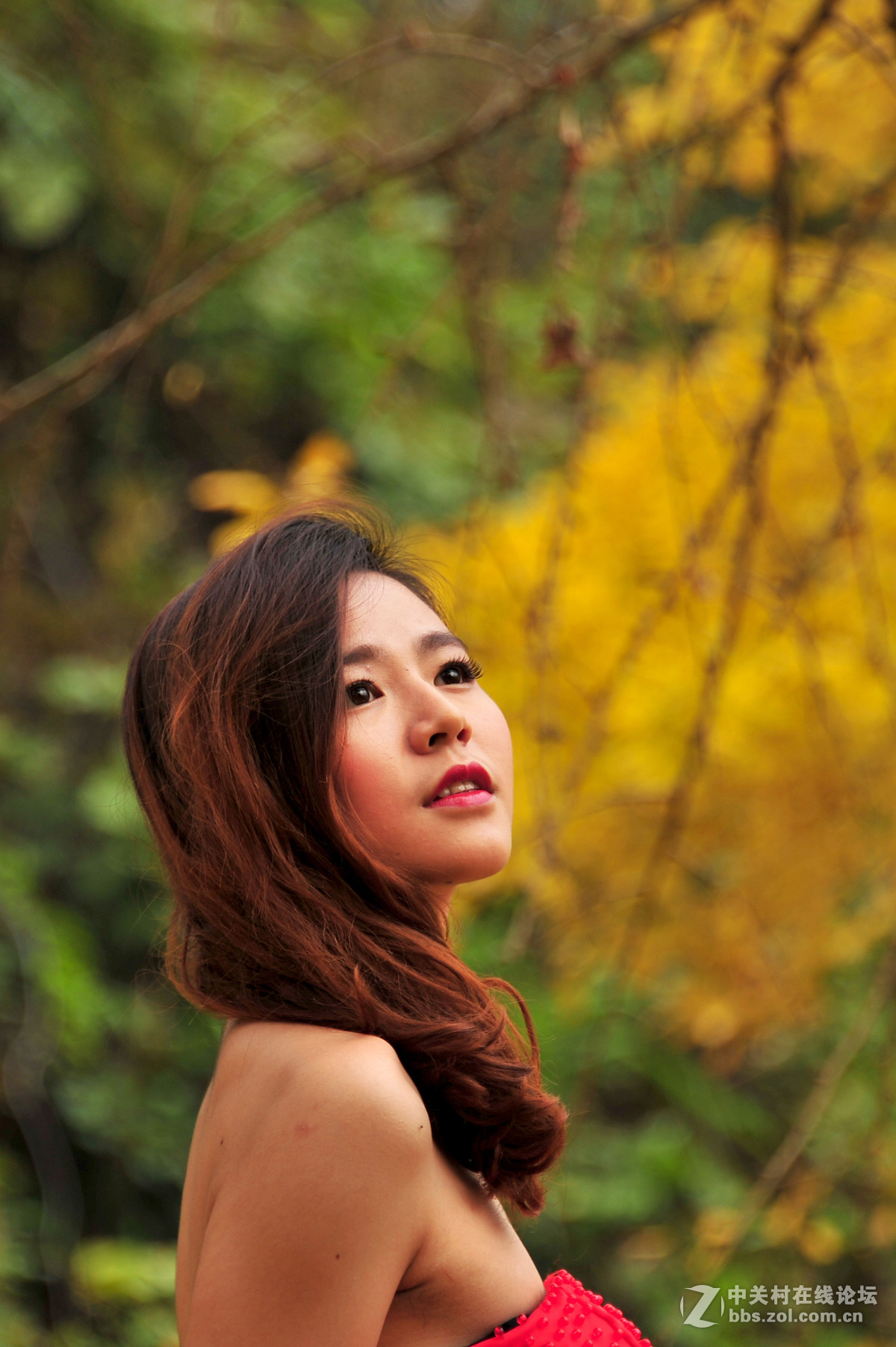 金秋银杏少女情怀-中关村在线摄影论坛