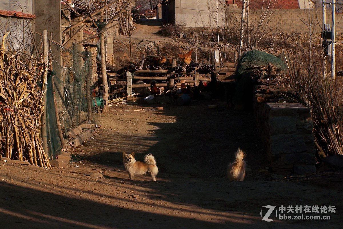 『记录山村』123...12P-中关村在线摄影论坛