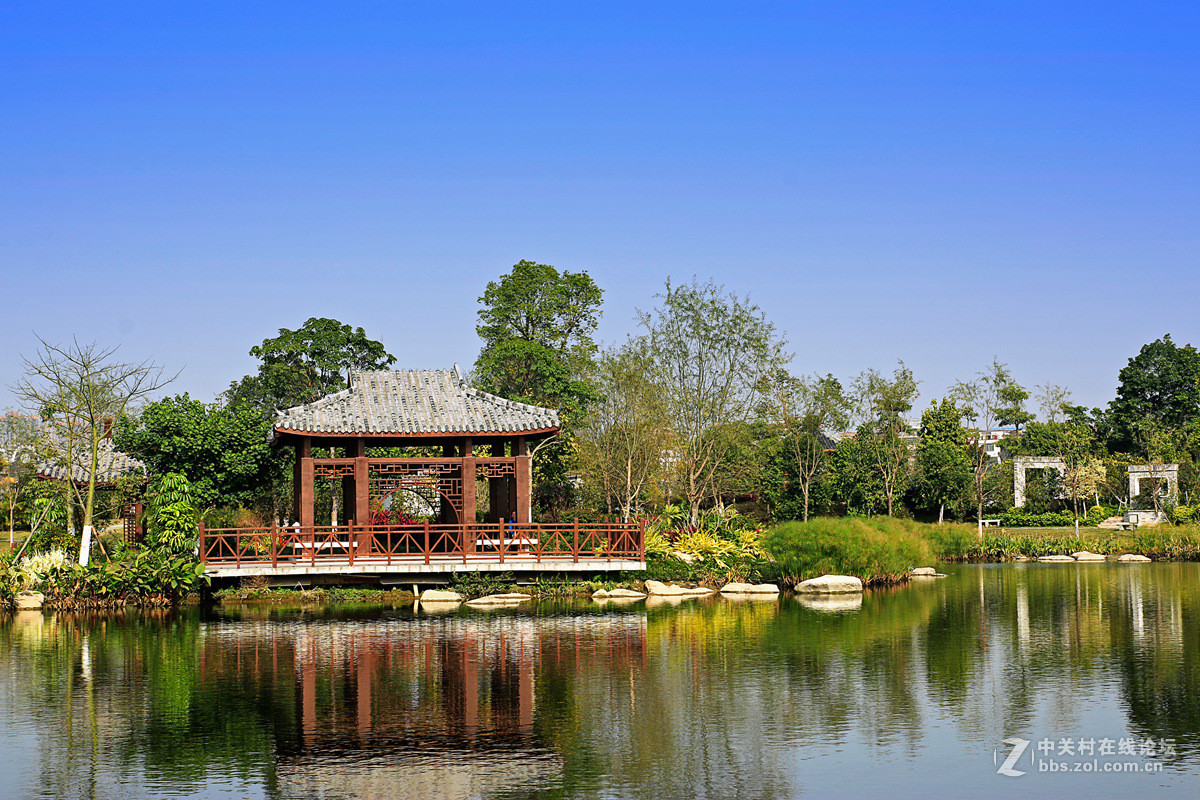 海珠湖公园（二）-中关村在线摄影论坛