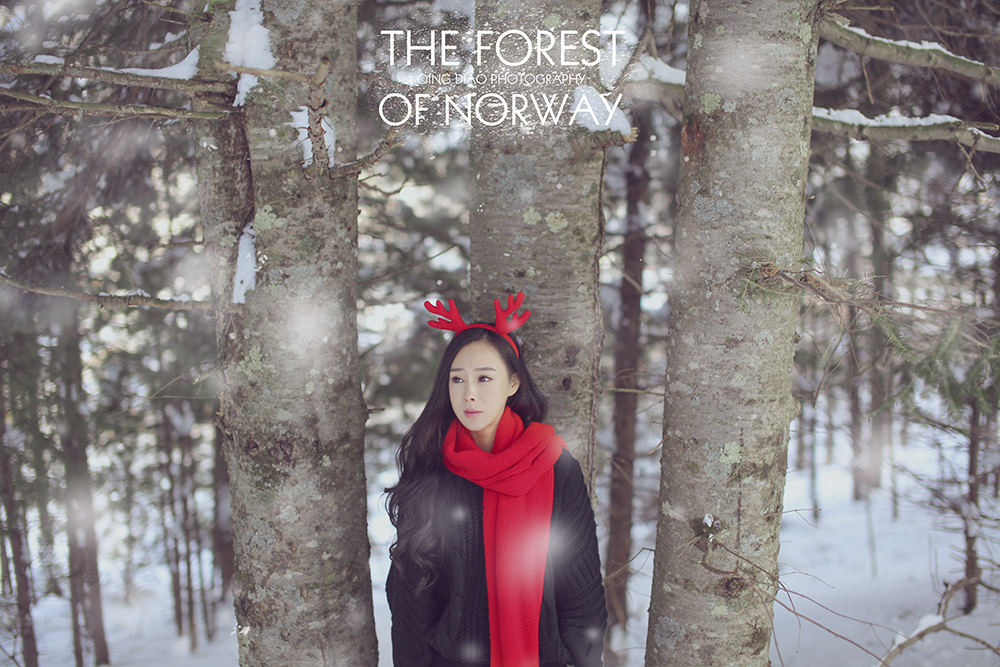 THE FOREST OF NORWAY-中关村在线摄影论坛