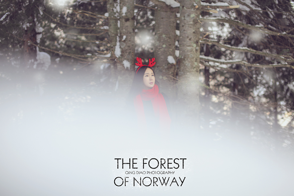 THE FOREST OF NORWAY-中关村在线摄影论坛