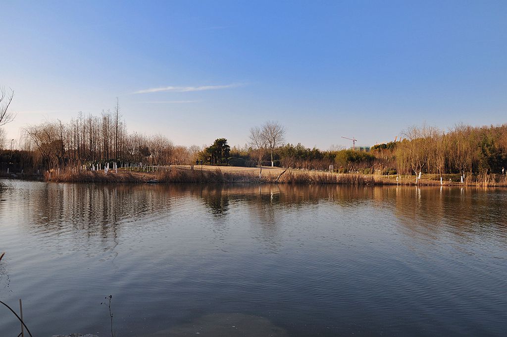 泰州姜堰天德公园2-中关村在线摄影论坛