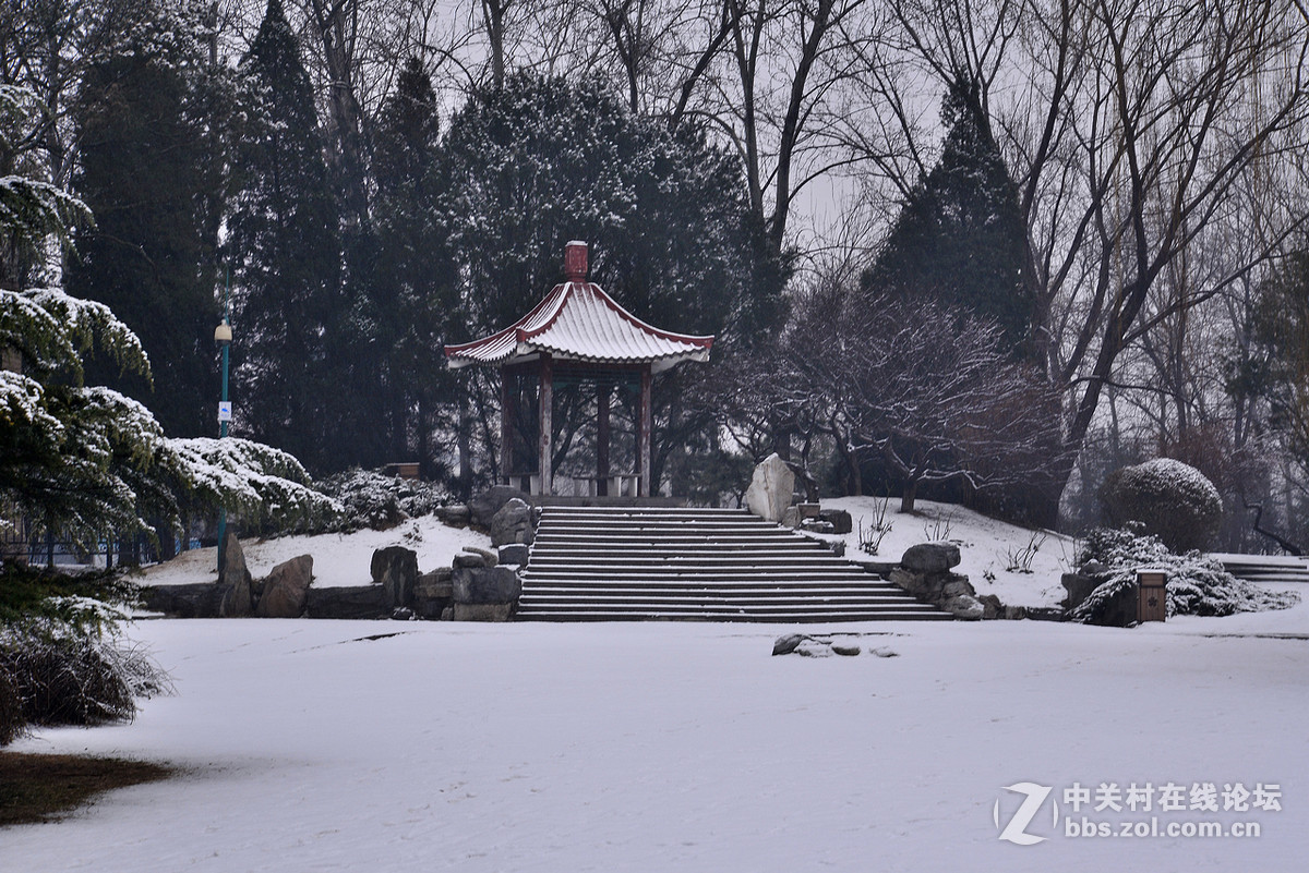 春雪润京城-中关村在线摄影论坛