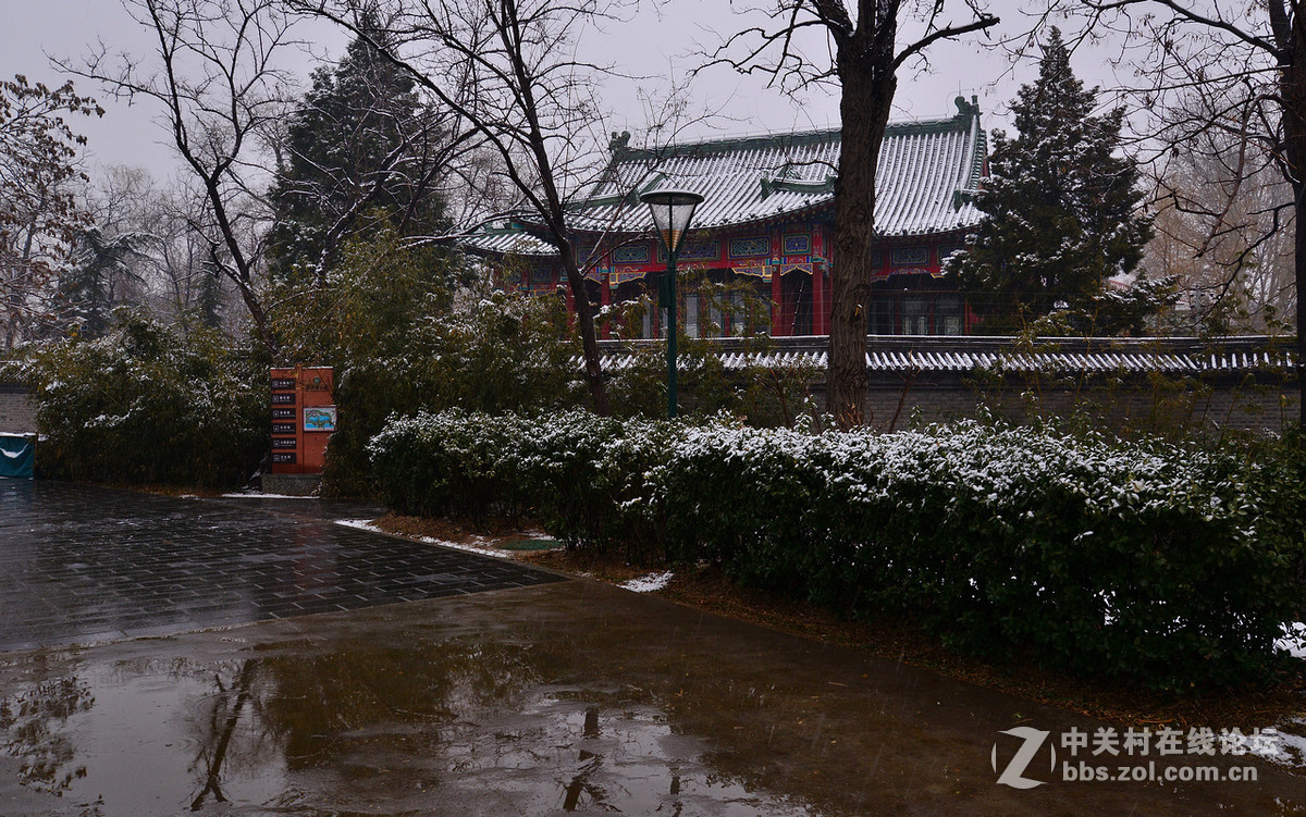 春雪润京城-中关村在线摄影论坛