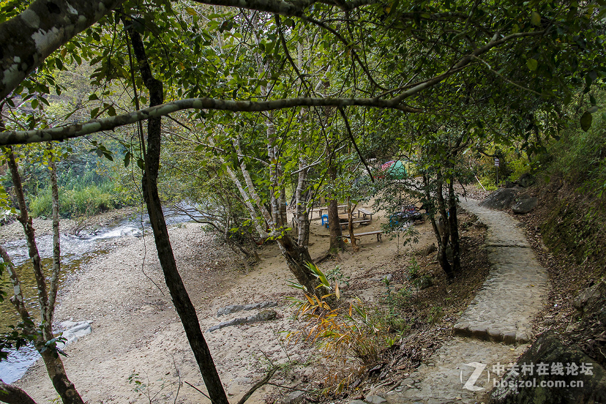 我爱五指山-中关村在线摄影论坛