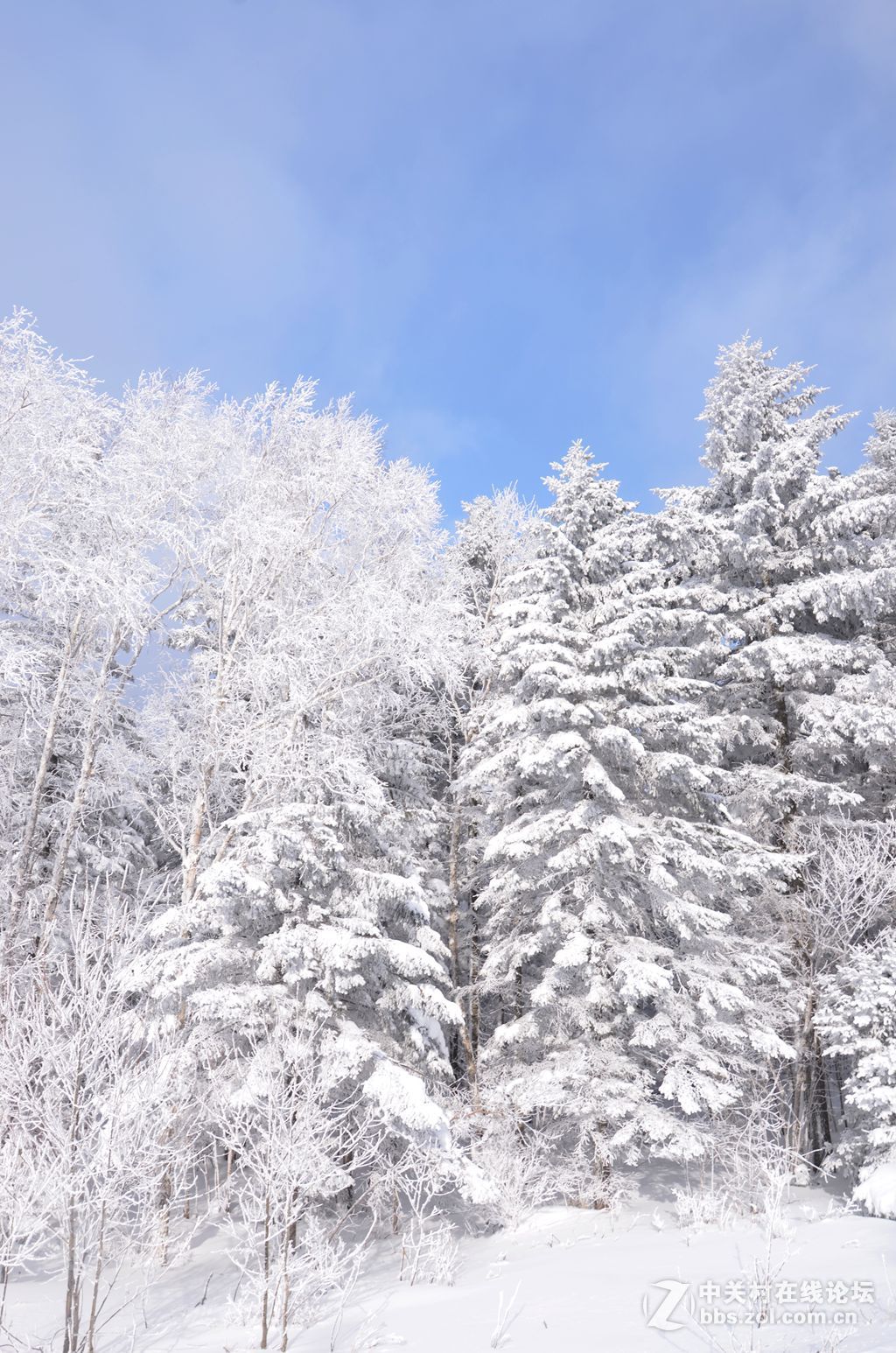 延边和龙老爷岭雪景-中关村在线摄影论坛