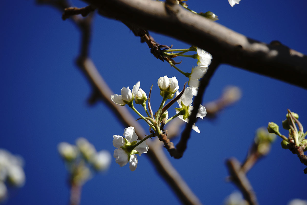 【继续嘚瑟】---腾龙火箭炮150-600镜头拍摄体验-中关村在线摄影论坛