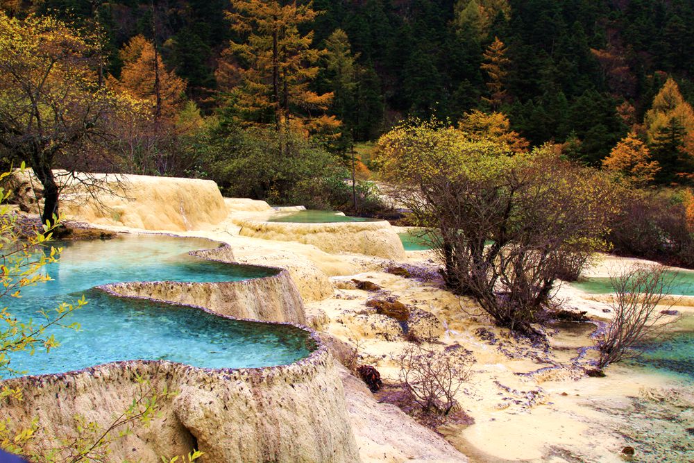 2014年金秋十月四川云南30日自由行---黄龙娑萝映彩池-中关村在线摄影论坛