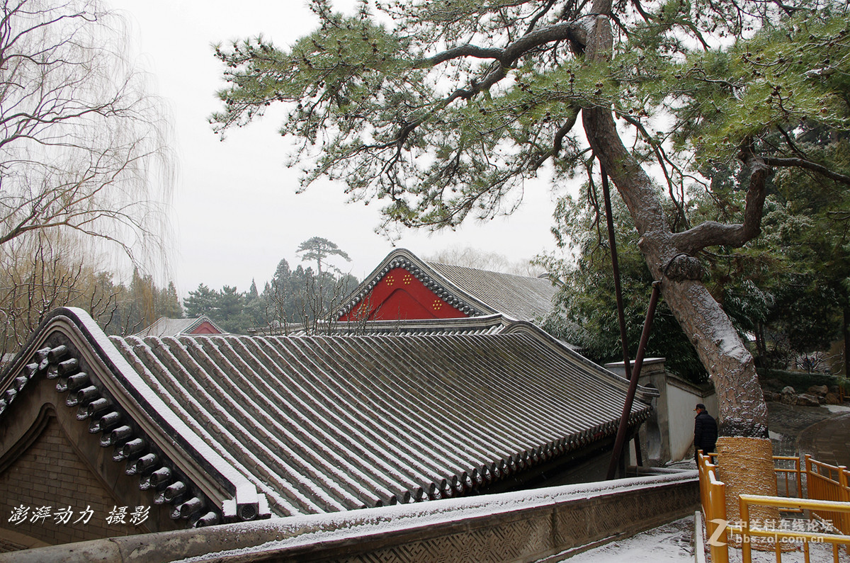 2015颐和园雪景拾趣二-中关村在线摄影论坛
