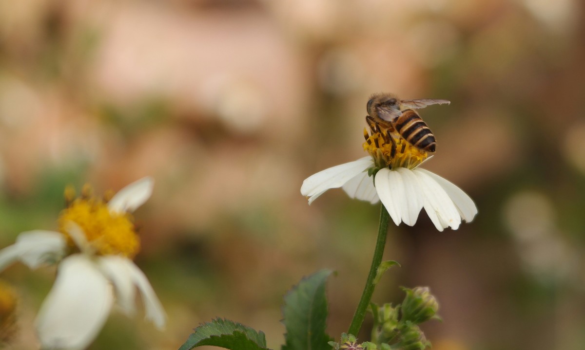 mx2000-中关村在线摄影论坛