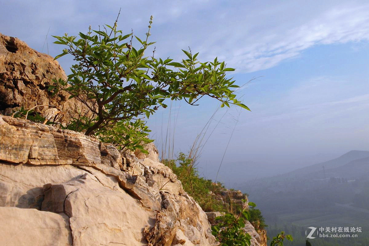 『山崖上的记录』123...12P-中关村在线摄影论坛