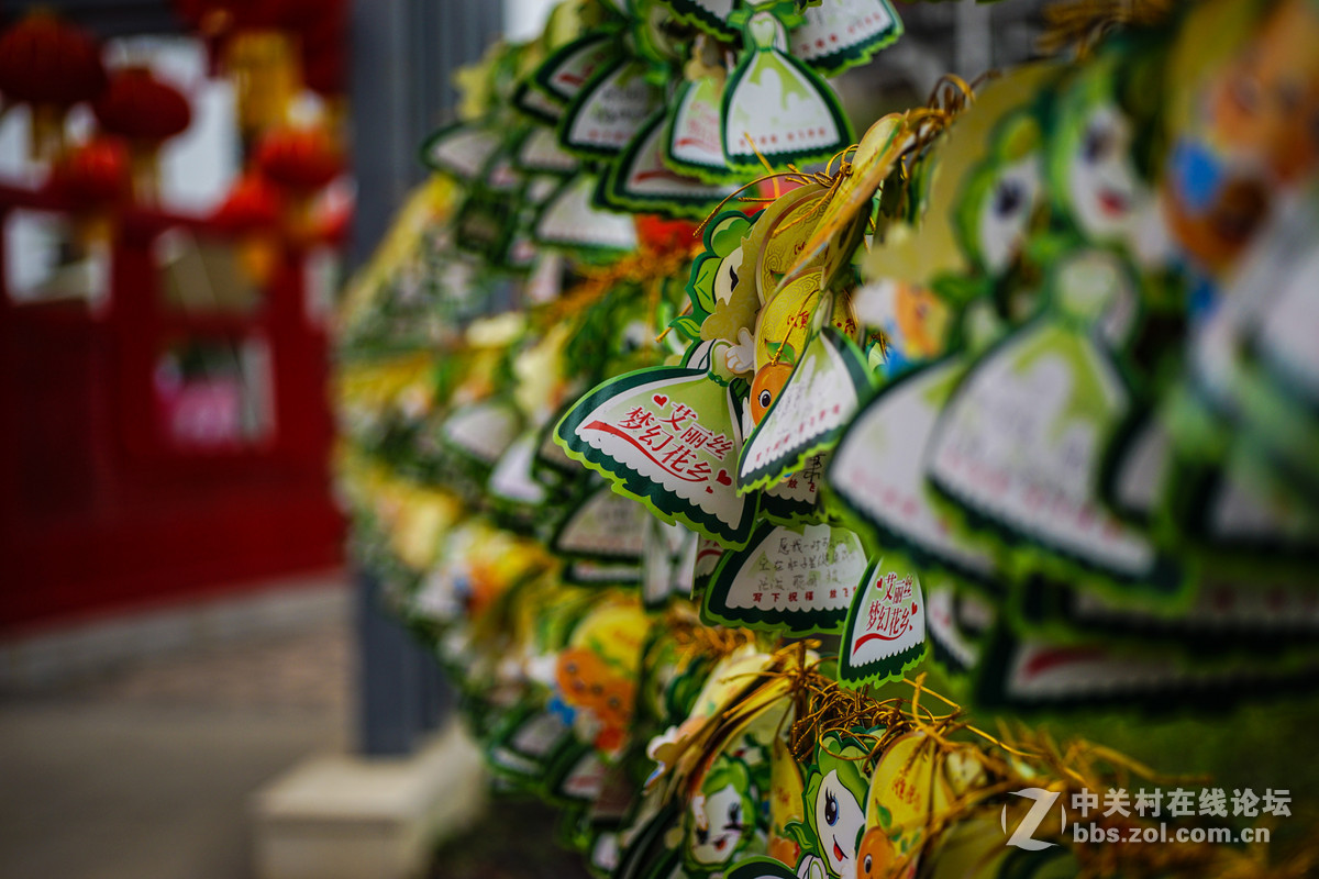a7m2 + 美能达 28-85/ 50 2.8 花展试拍-中关村在线摄影论坛