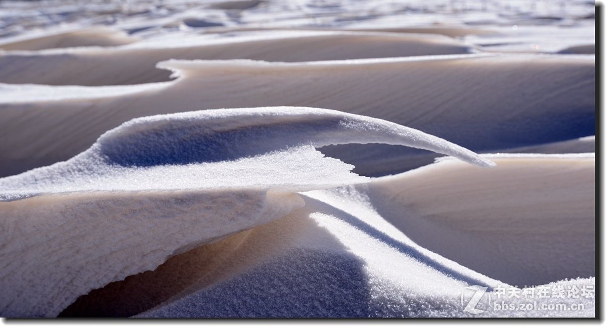 雪的气质！-中关村在线摄影论坛
