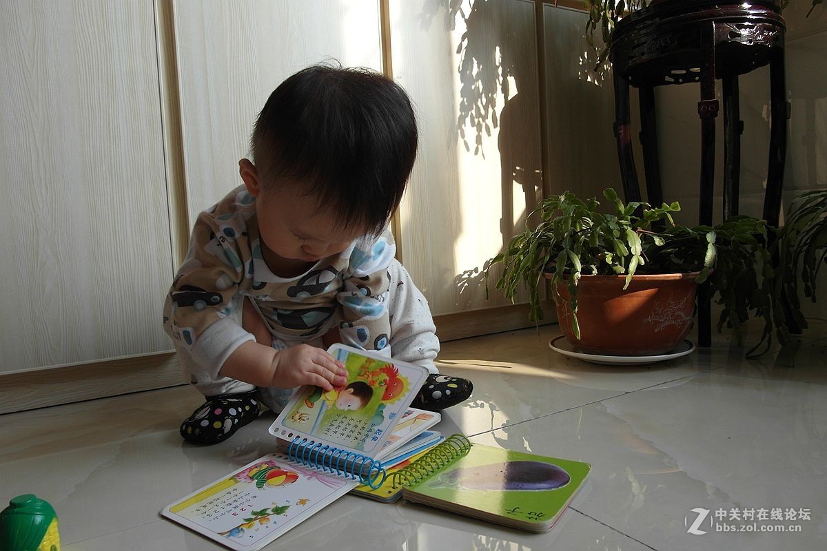 【抓拍外孙】123...12P-中关村在线摄影论坛