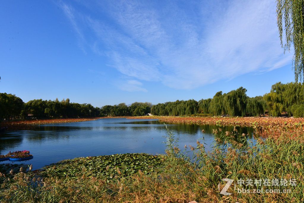 圆明园秋色一组-中关村在线摄影论坛