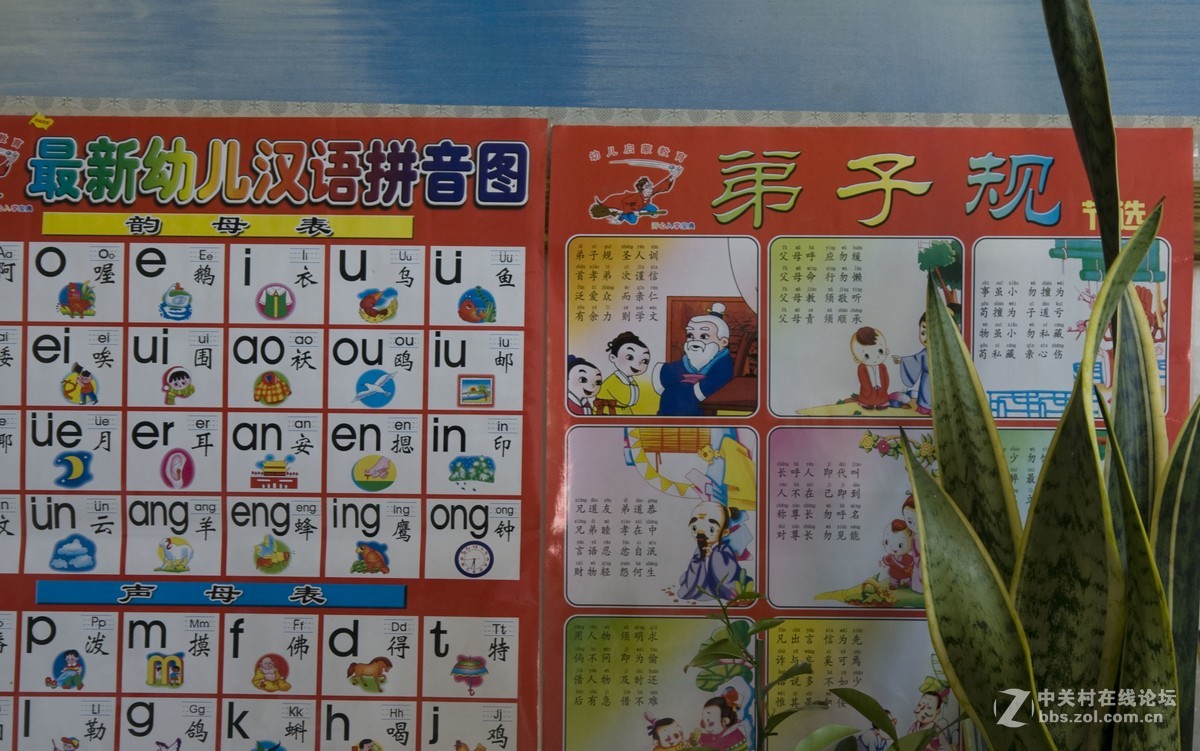 尼康AF24-85F2.8-4D镜头试镜-中关村在线摄影论坛