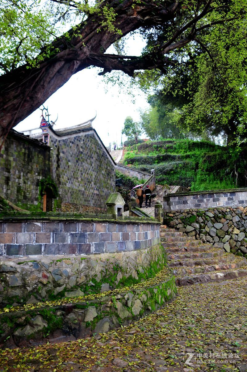 行摄霞浦〈十一〉畲族村落…人文纪实…续-中关村在线摄影论坛