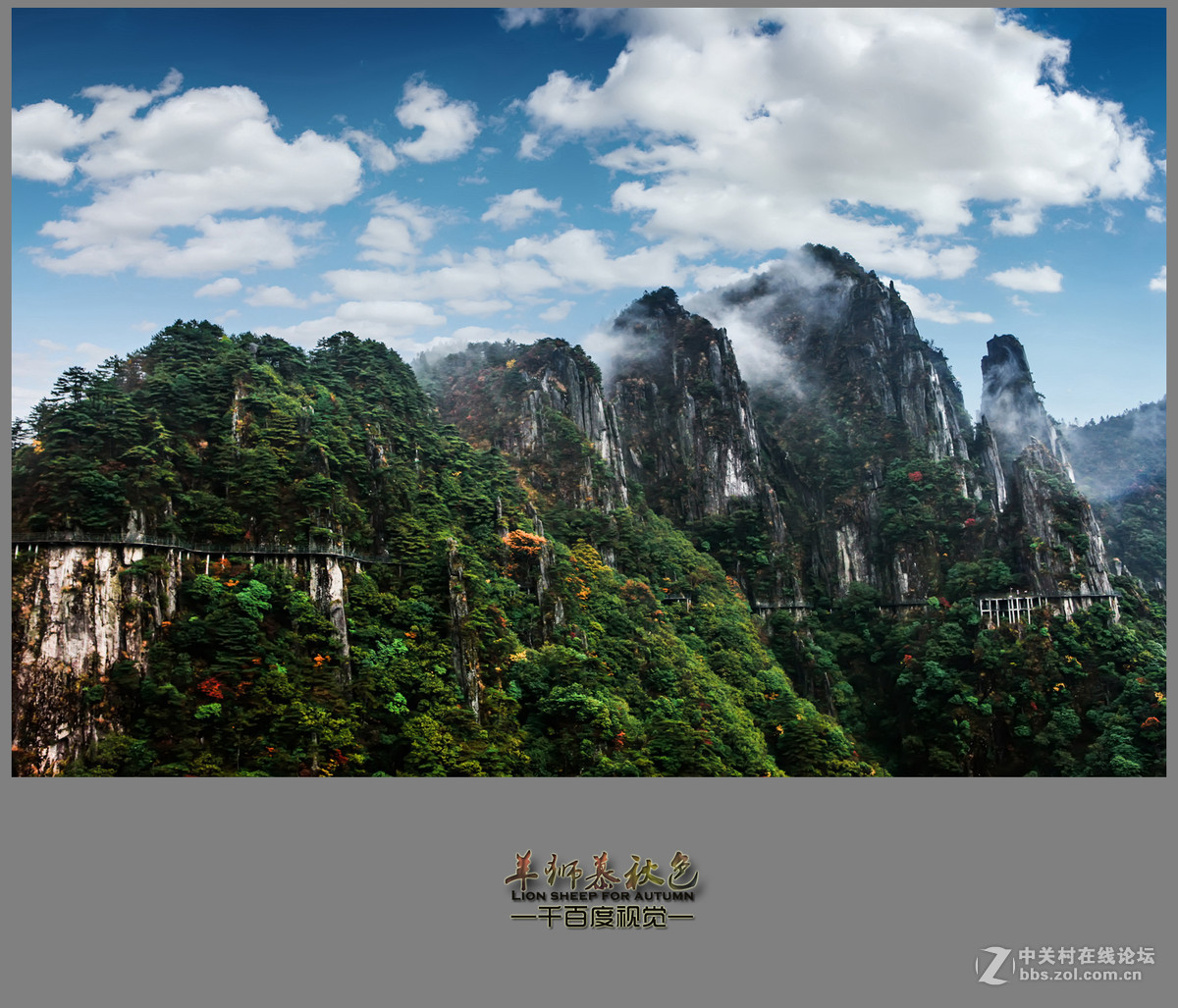 [羊狮慕秋色]-中关村在线摄影论坛