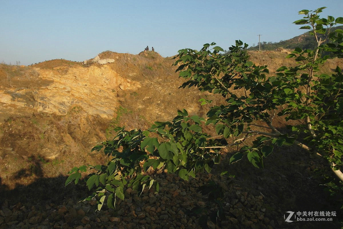 EX1-【无题】123...12p-中关村在线摄影论坛