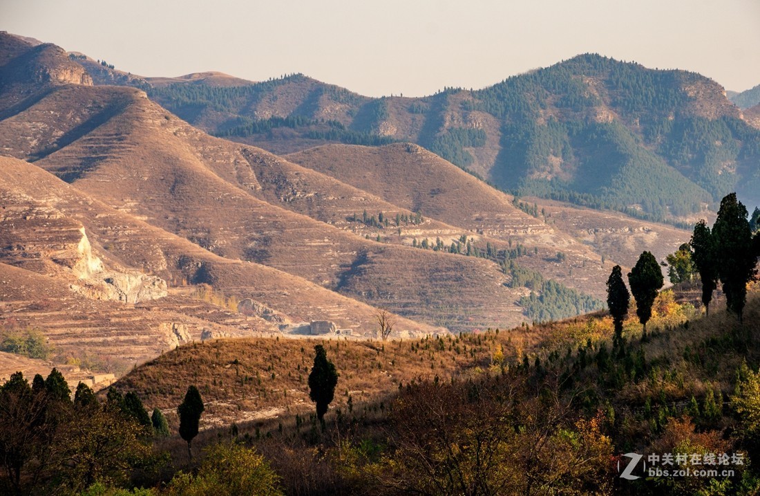 青州银杏林，西山美景-中关村在线摄影论坛