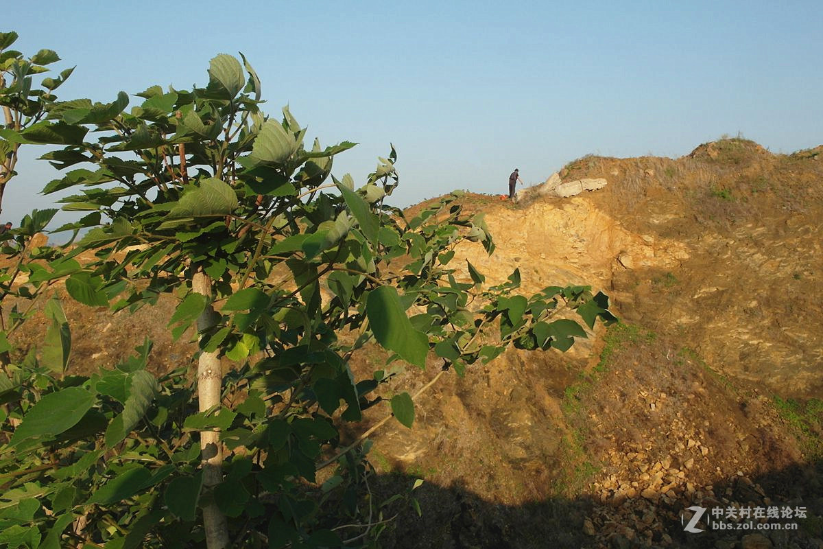 EX1-【无题】123...12p-中关村在线摄影论坛