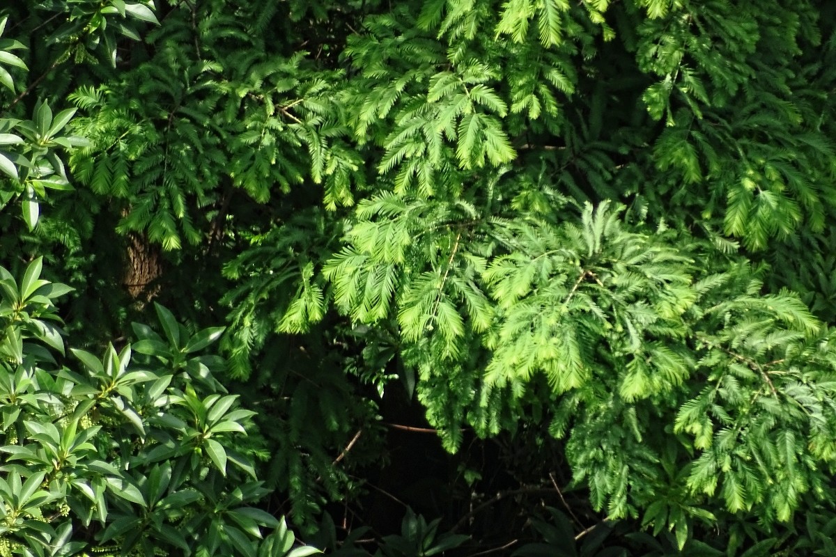 新入HX400试拍-中关村在线摄影论坛