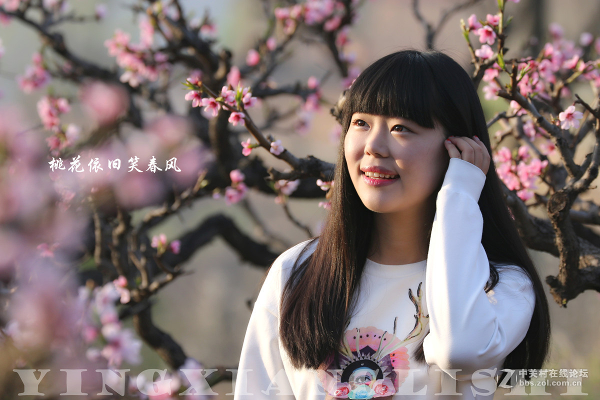 桃花依旧笑春风-中关村在线摄影论坛