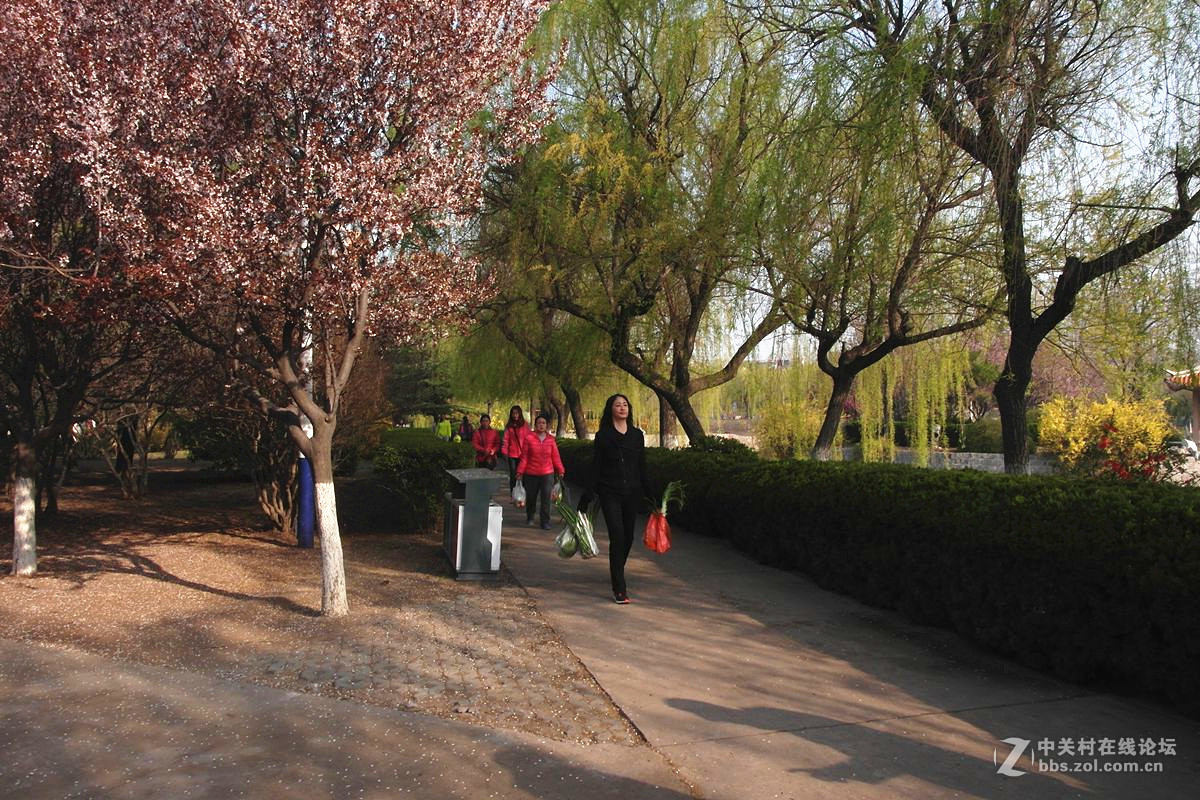 EX1-『春色惹人醉』123...12P-中关村在线摄影论坛