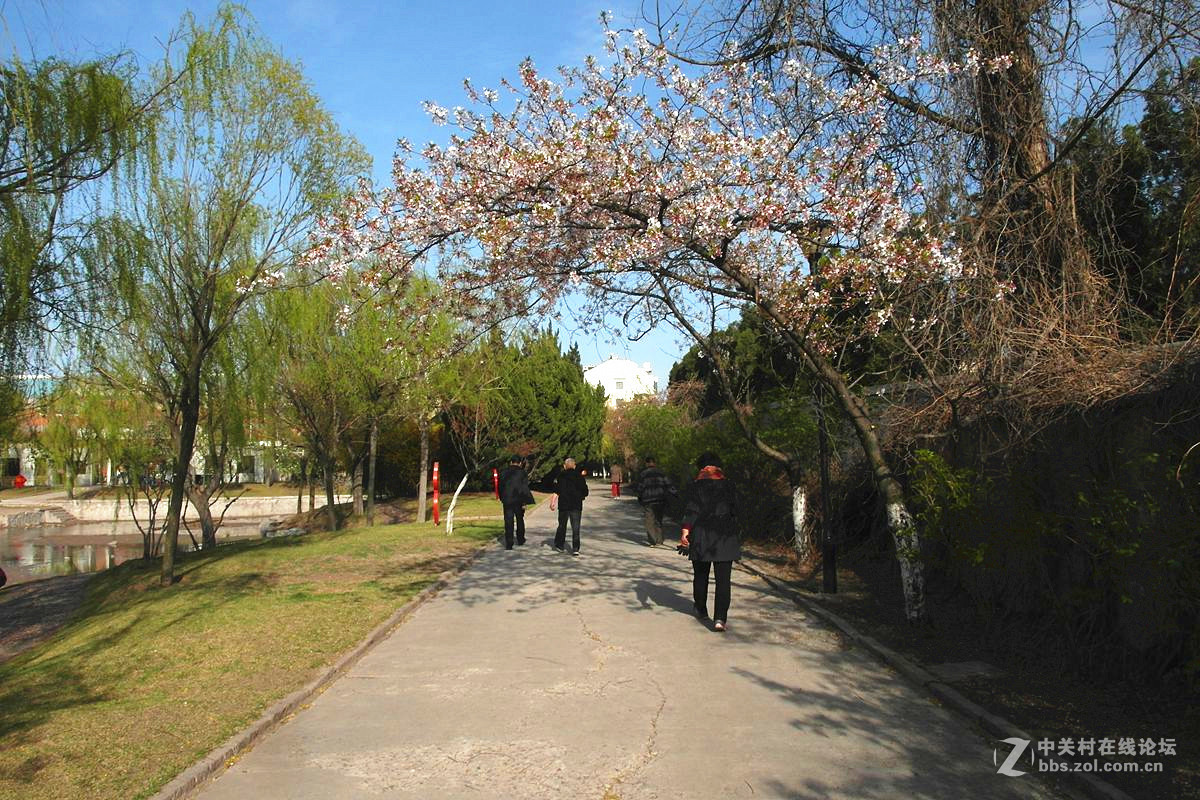 EX1-『春色惹人醉』123...12P-中关村在线摄影论坛