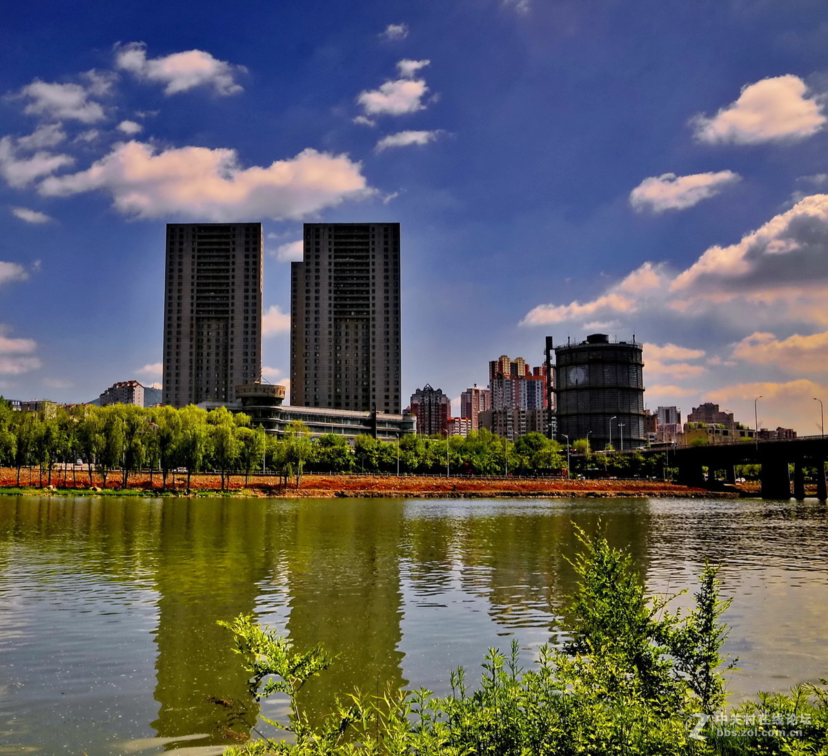 今夏---河畔-中关村在线摄影论坛