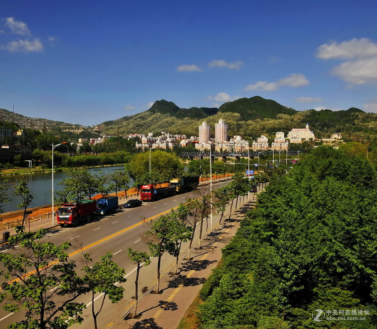 今夏---河畔-中关村在线摄影论坛