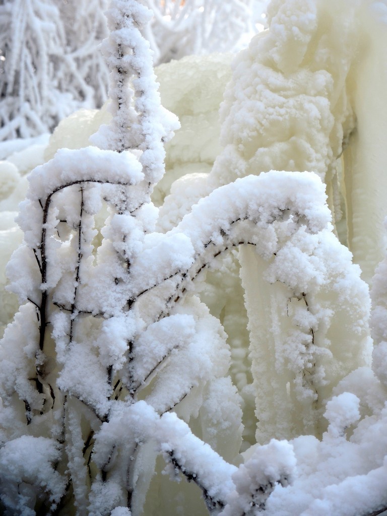 玉雕器-中关村在线摄影论坛
