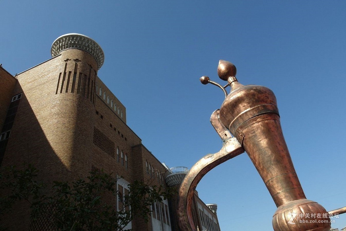 『新疆国际大巴扎--续』123...16P-中关村在线摄影论坛