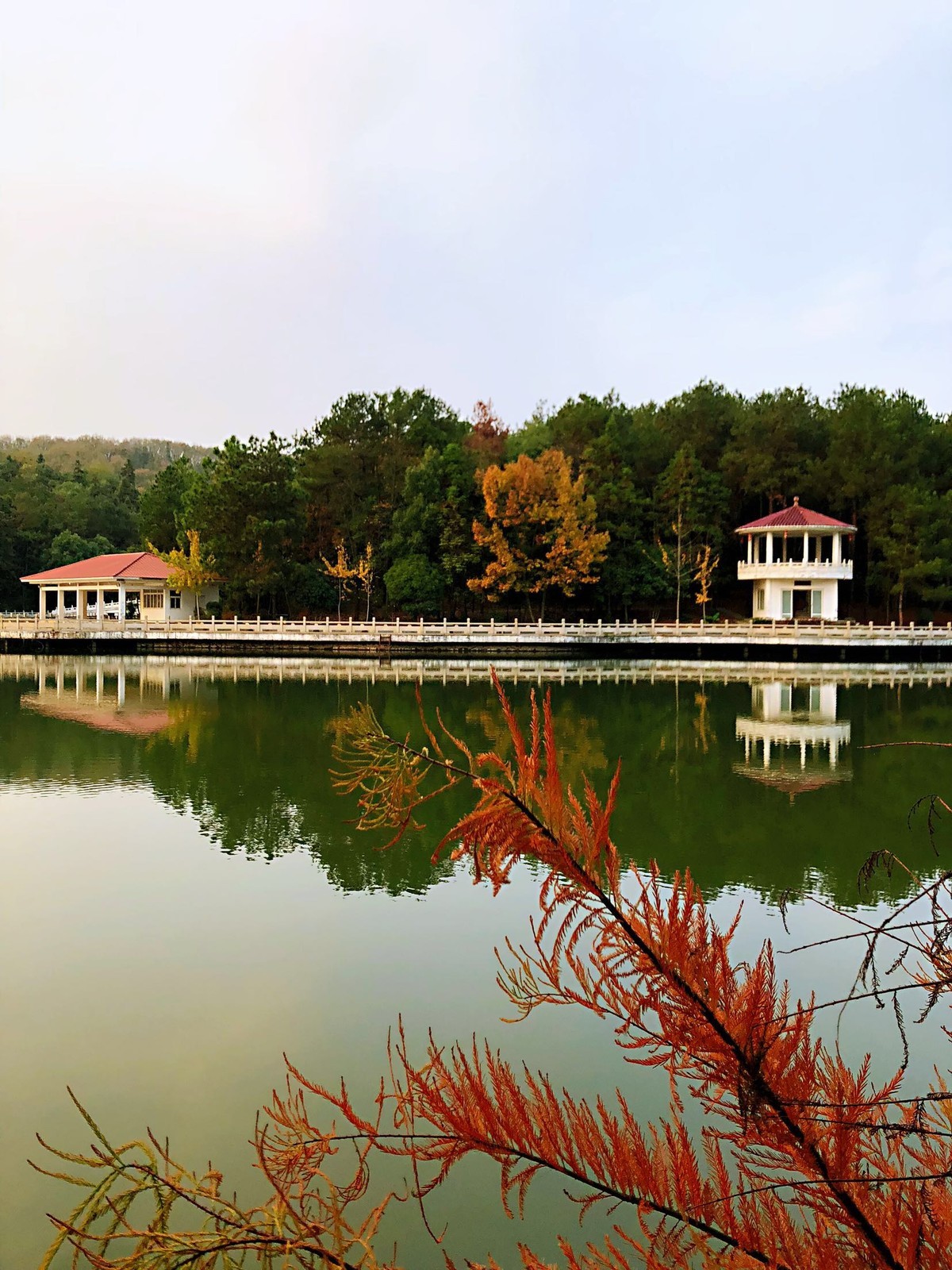 九真山秋韵-中关村在线摄影论坛