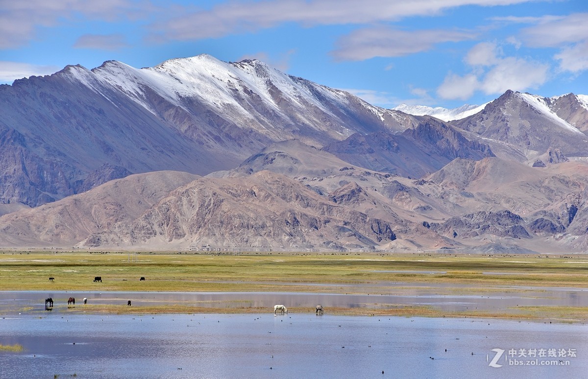 国道318+219-中关村在线摄影论坛