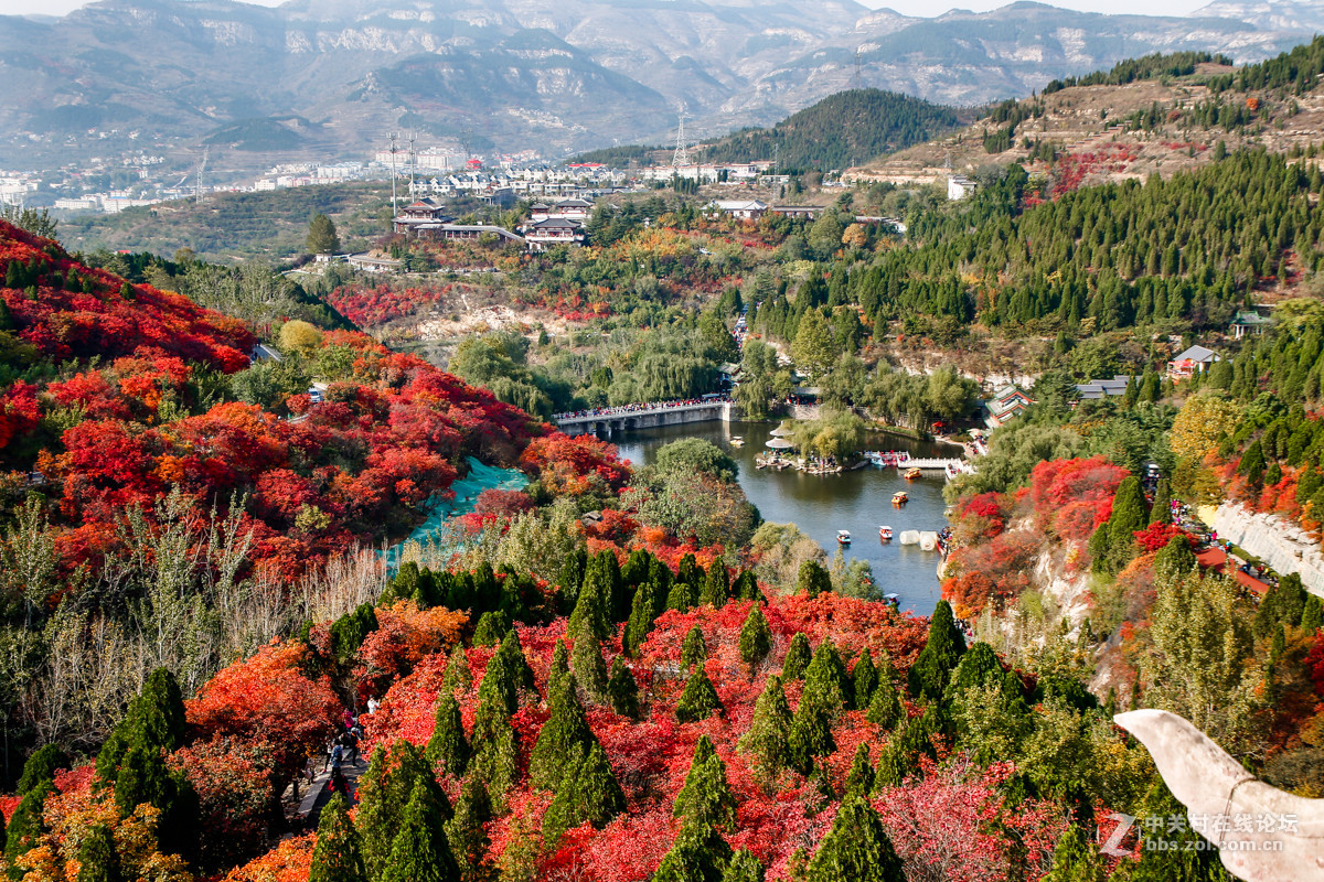 济南红叶谷〔十四〕-中关村在线摄影论坛