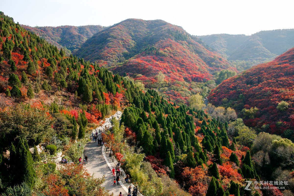 济南红叶谷〔十四〕-中关村在线摄影论坛