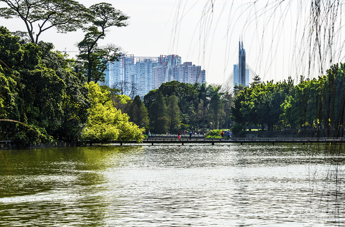 长焦镜头下的公园----之一-中关村在线摄影论坛