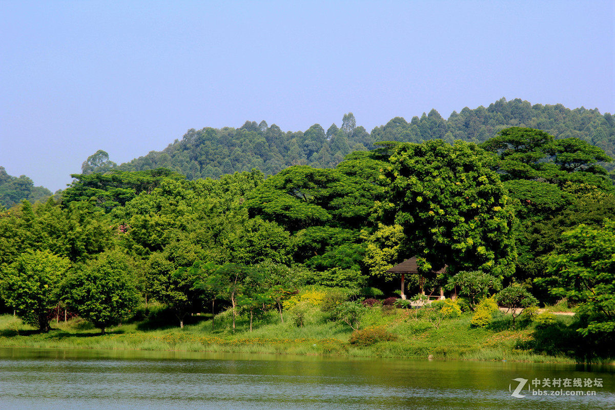 绿树碧水-中关村在线摄影论坛
