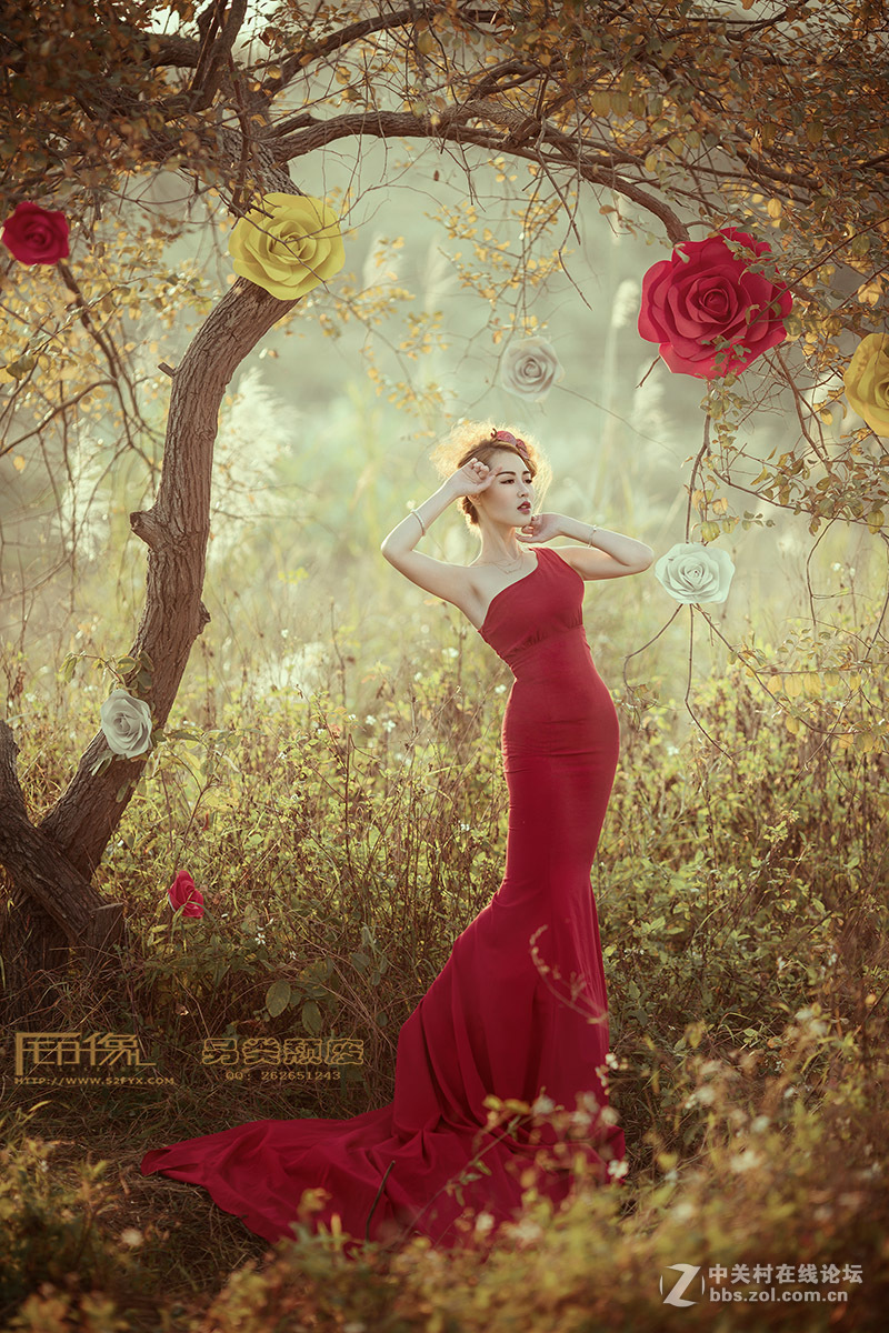 ~~~Aimiy~~~颓废作品-中关村在线摄影论坛