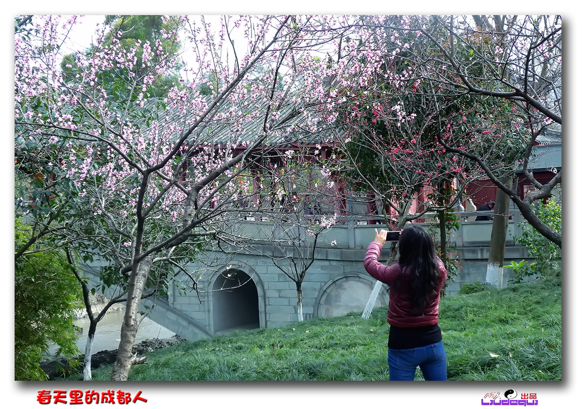 春天里的成都人-中关村在线摄影论坛