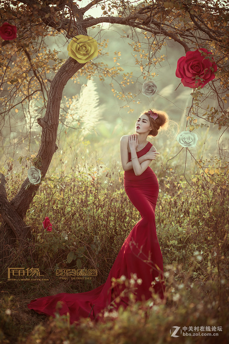 ~~~Aimiy~~~颓废作品-中关村在线摄影论坛