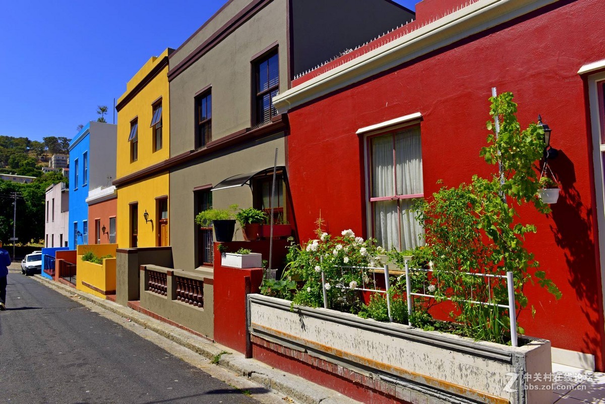 糖果色建筑--南非马来人社区-中关村在线摄影论坛