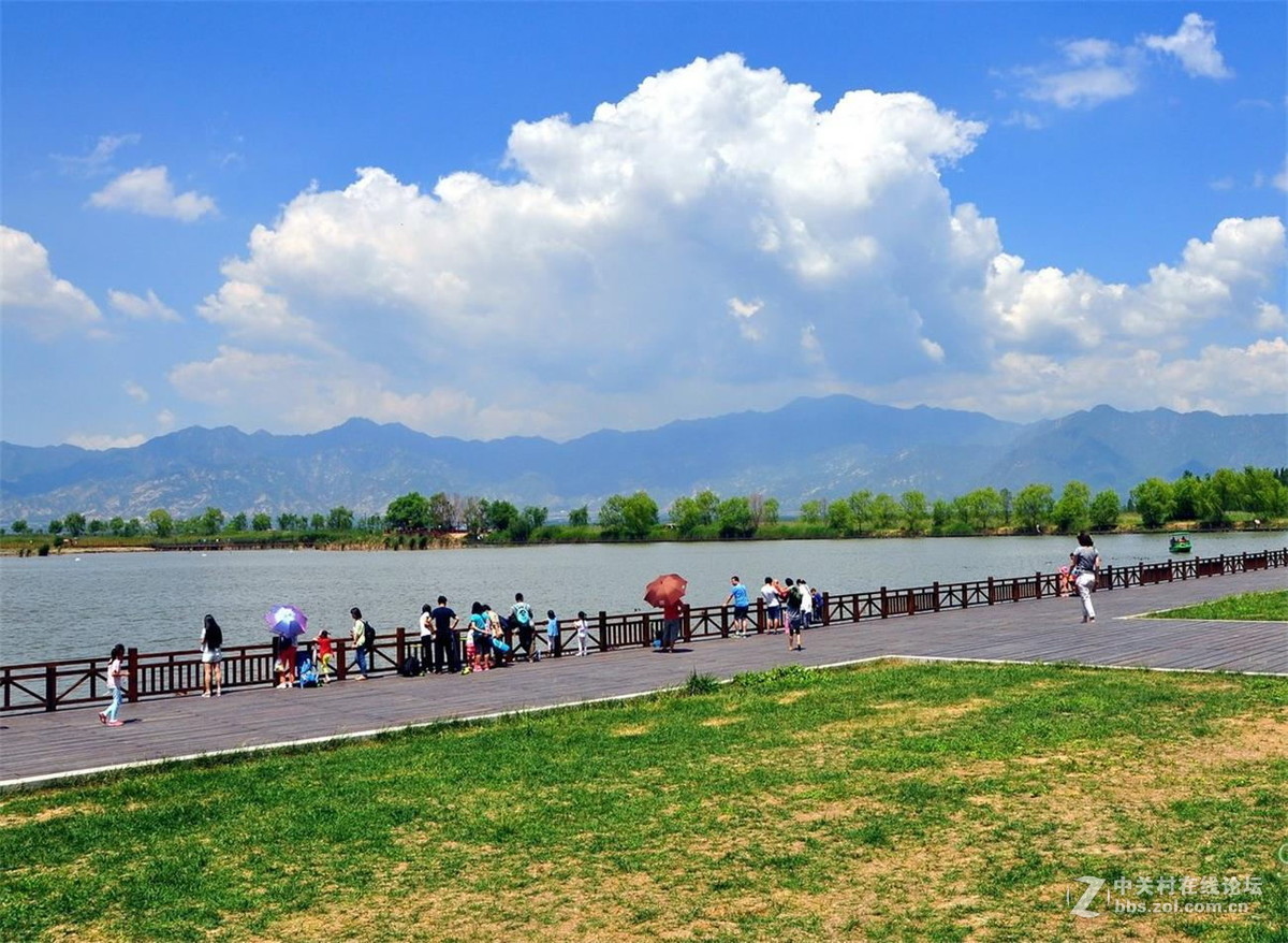 北京：野鸭湖国家湿地公园-中关村在线摄影论坛