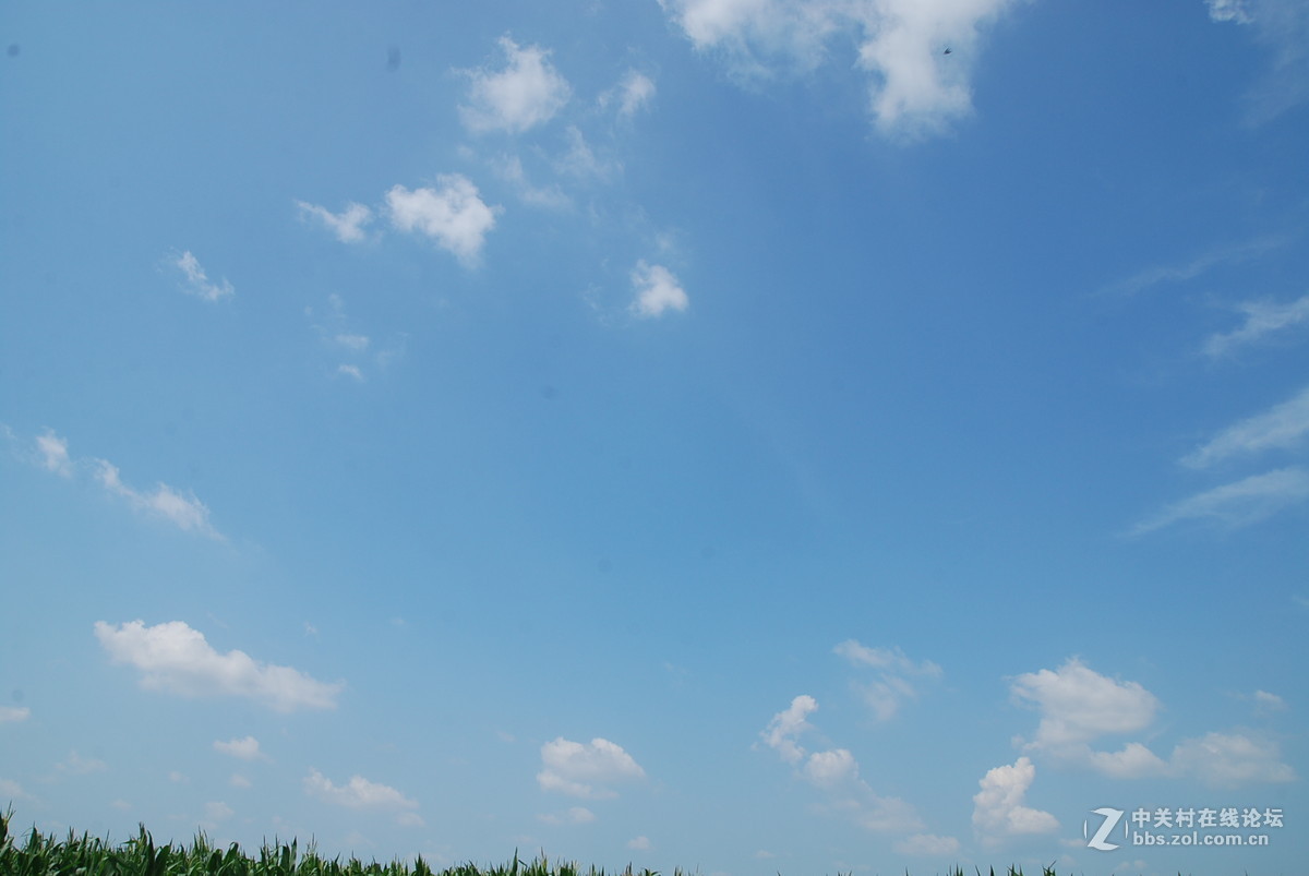 蓝天白云-中关村在线摄影论坛