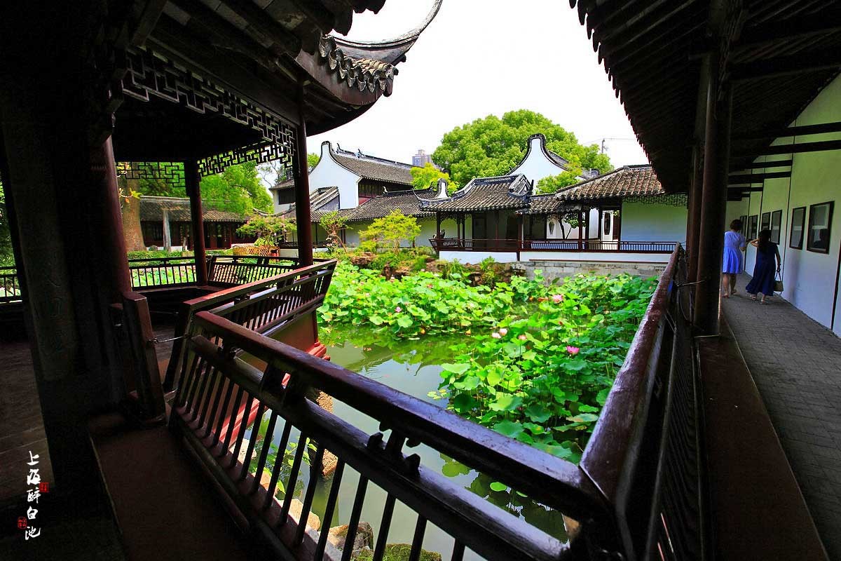 上海醉白池 4-中关村在线摄影论坛