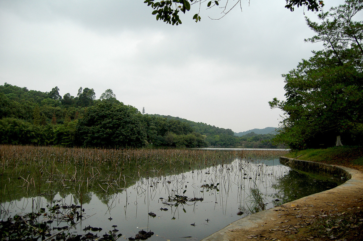 冬日 公园湖景（D70）-中关村在线摄影论坛
