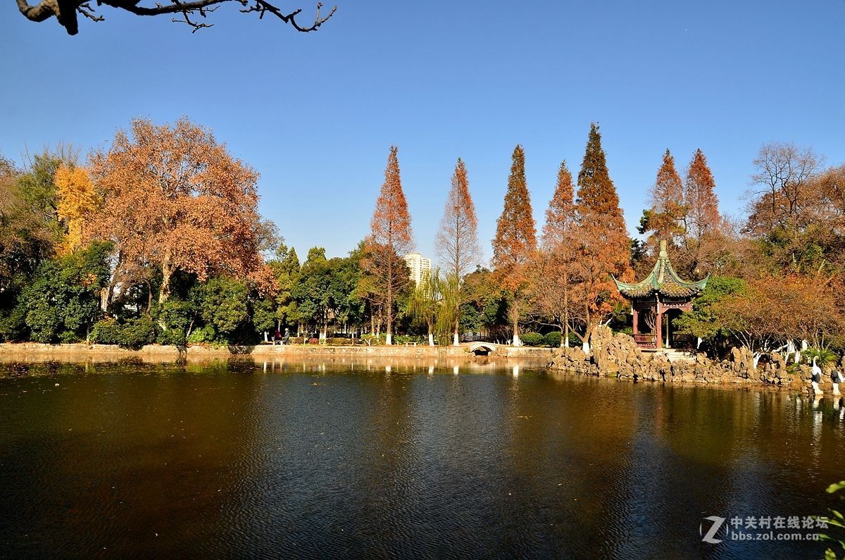 莫愁湖公园—贺晚之秋好友荣任索尼A7R2论坛版主-中关村在线摄影论坛