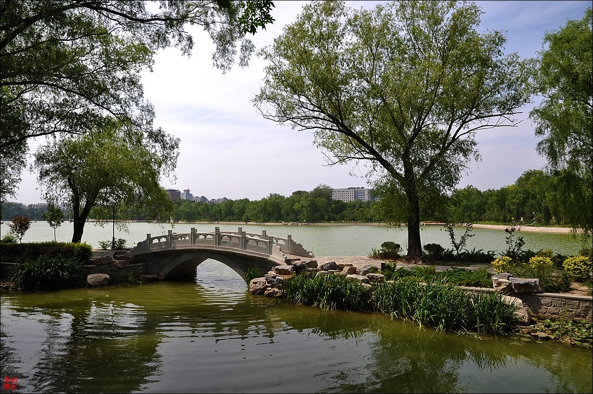 2016年北京玉渊潭公园-中关村在线摄影论坛