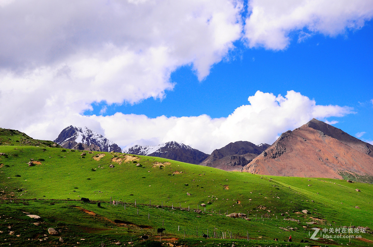 川西行 路上的风光 三-中关村在线摄影论坛